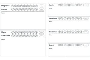 How to Use the New SCA Cupping Form | Royal New York
