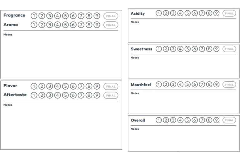How to Use the New SCA Cupping Form | Royal New York