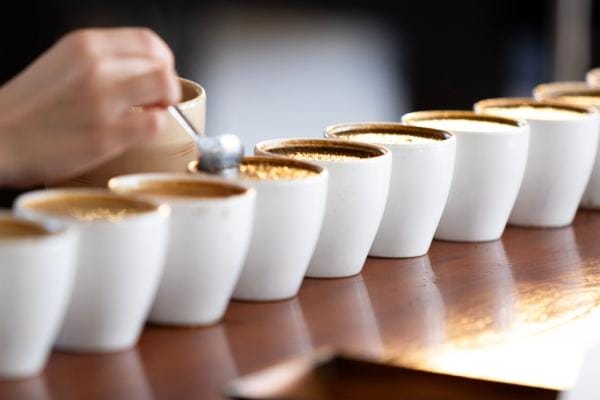 How to Use the New SCA Cupping Form | Royal New York